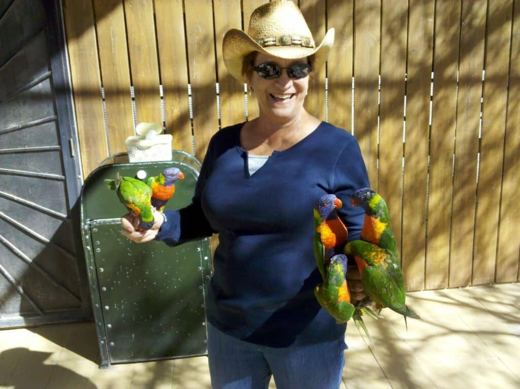 Colleen S. Harper - Gilbert Memorial